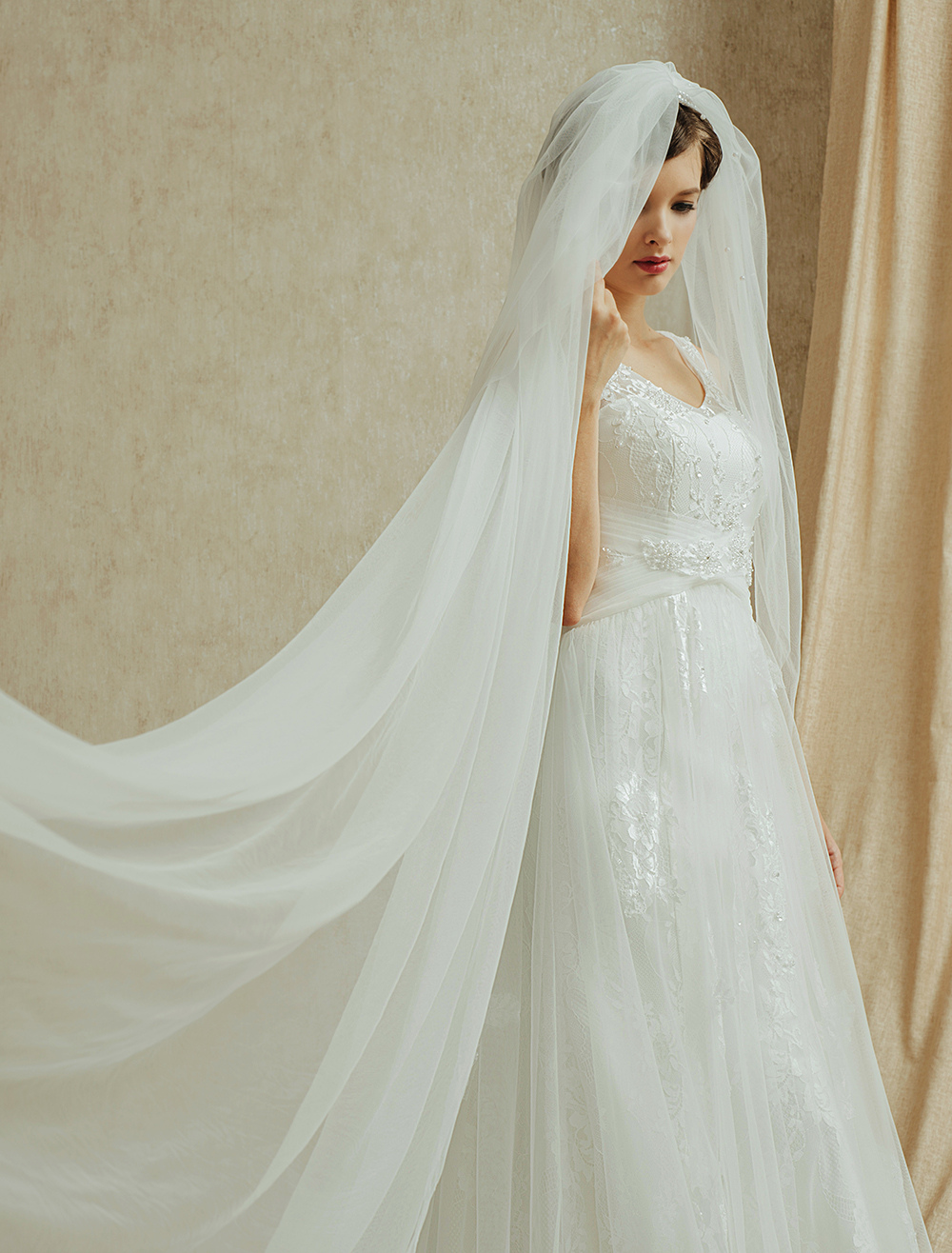 Ivory Lace Wedding Dress with Removable Panel Train ( Veil ...